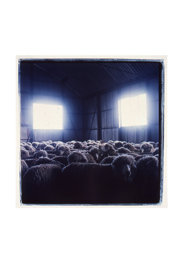 Artwork & Mirrors Tagged "Michael Stuetz photograph" - Cafiero Select Home